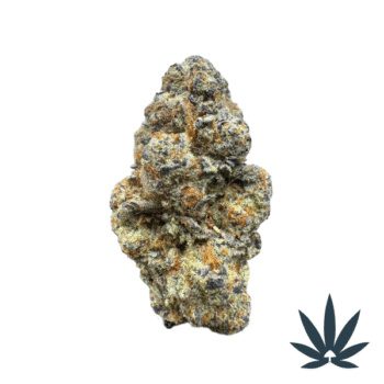 Astro Status - Collectible Exotics